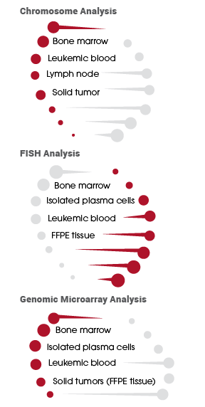 Cytogenetics Testing | ARUP Laboratories