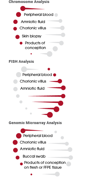 Cytogenetics Testing | ARUP Laboratories